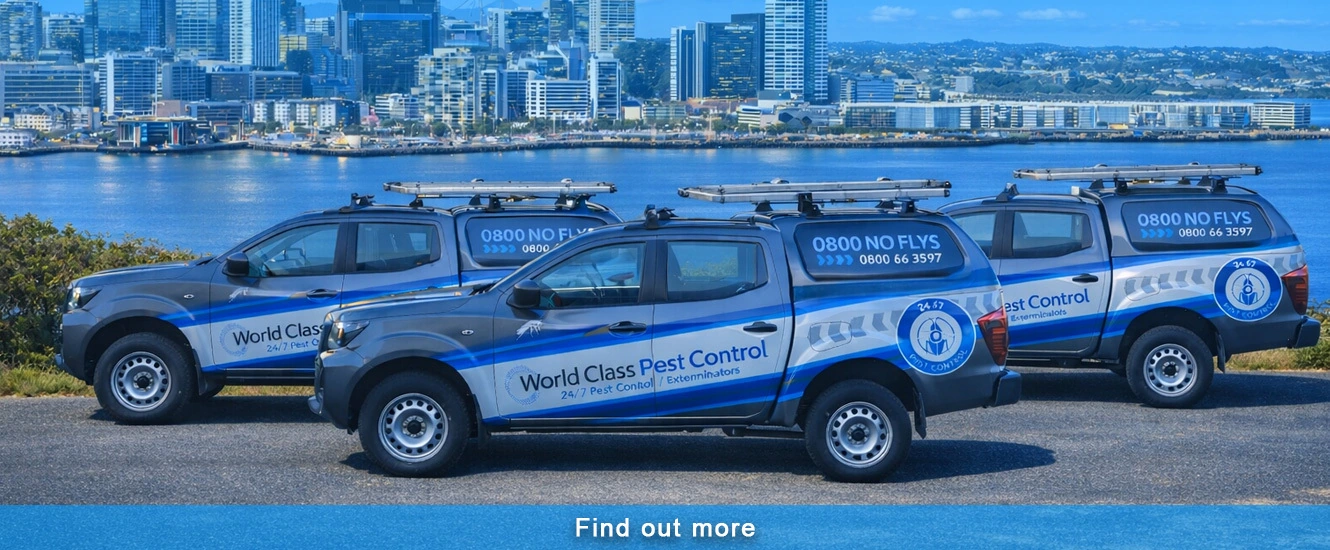 Pest Control Auckland, North Shore, Meadowbank, Papakura, Albany,