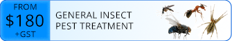 Pest Control Auckland, North Shore, Meadowbank, Papakura, Albany,